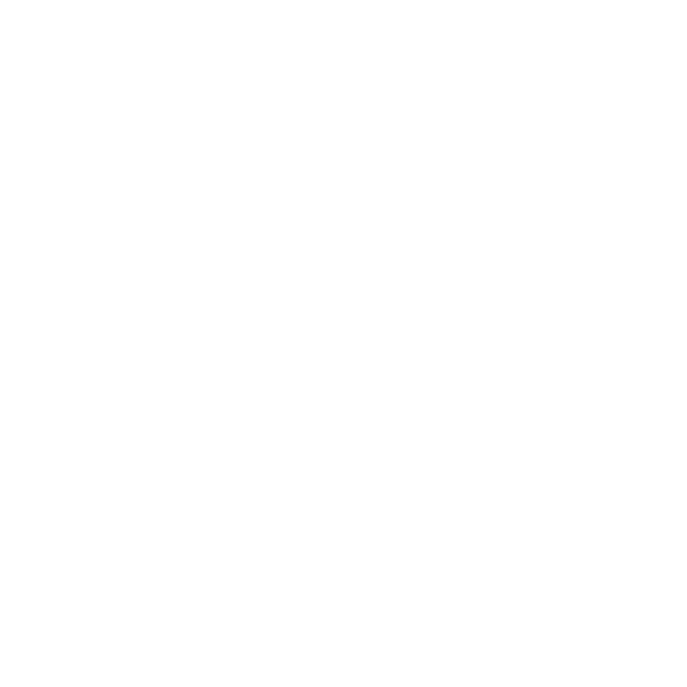 BRX.AI Logo